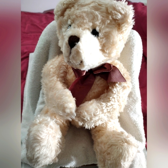 Mango Teddy Bear Co. | Toys | Rare Vtg 9s Mango Teddy Bear Peekaboo ...